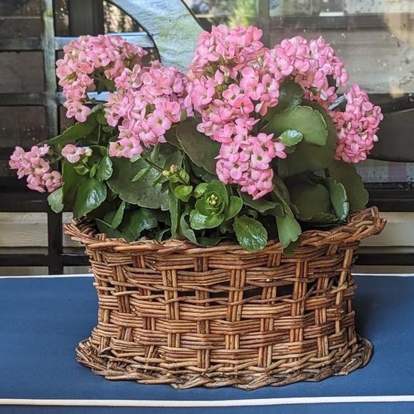 Accents | Rare Vintage Wicker Planter Jardiniere Cache Pot With Fitted ...